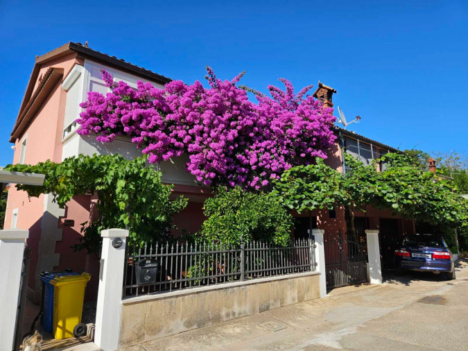 Holiday apartments Alina & Mia near the sea and the center of Pula ...